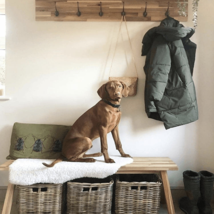 Creative Ways to Use Our Storage Solutions in Every Room & Wovenhill